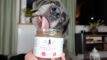 Weihnachtlicher Festschmaus von For Dogs Only? - Das Lieblingsrudel