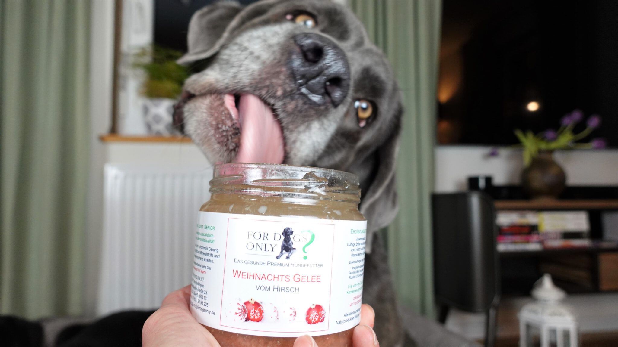 Weihnachtlicher Festschmaus von For Dogs Only? - Das Lieblingsrudel